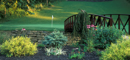 Trace Landscaping | Trace Lawn & Landscaping