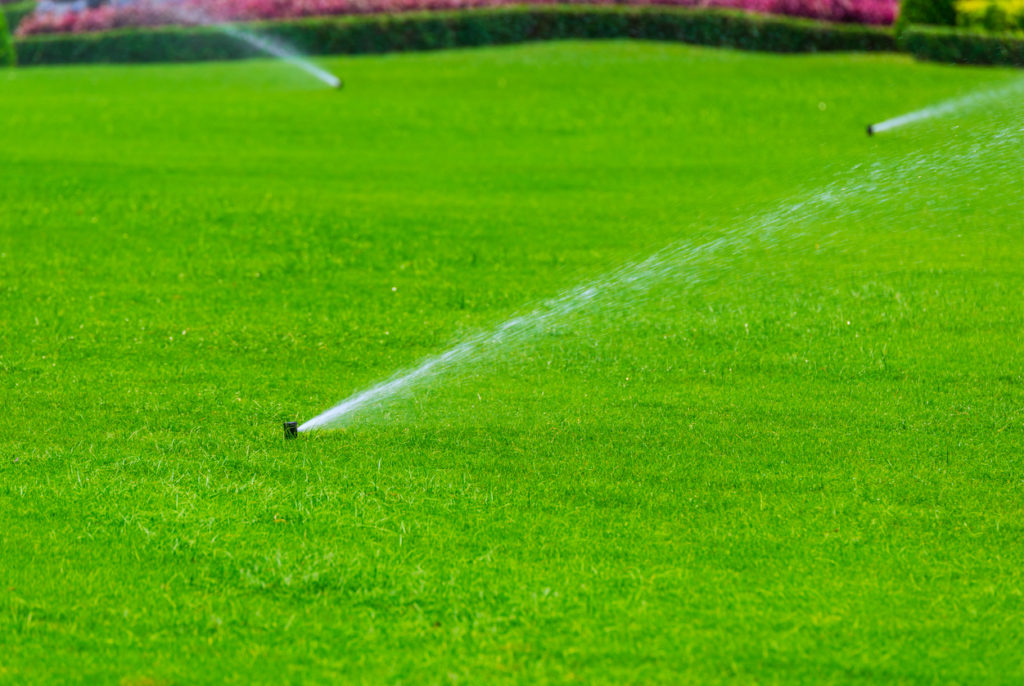 BACKYARD IRRIGATION SYSTEMS | Trace Lawn & Landscaping